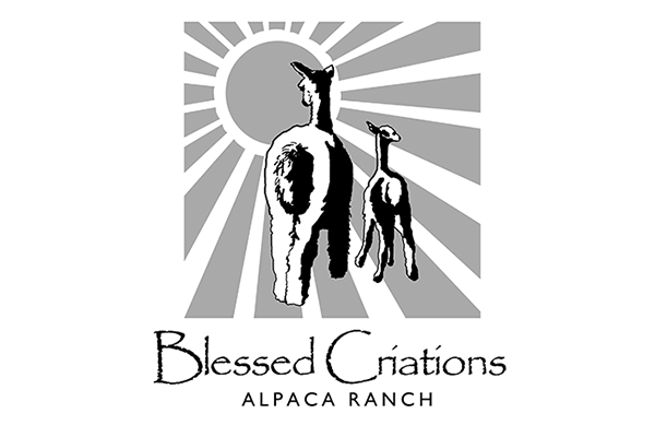 Stacey Castle Graphic Designer